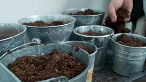 Soil is being scattered across the pots,... | Stock Video | Pond5