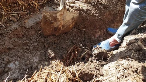 Soil digging iron tools for farmers work... | Stock Video | Pond5