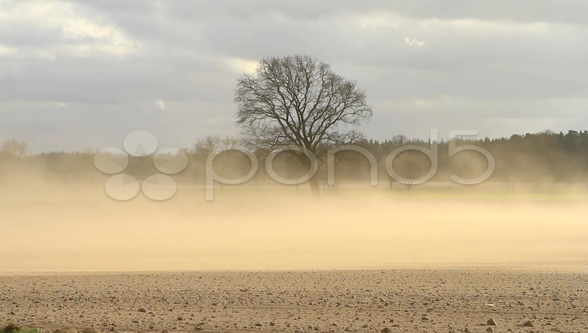 Soil Erosion By Wind