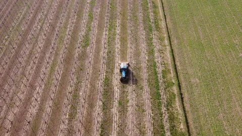 soil milling between rows of a vineyard ... | Stock Video | Pond5