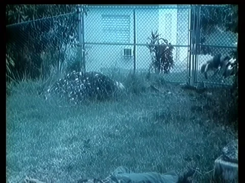 Blast Gate Outdoors Stock Videos – Royalty-Free HD & 4K Videos