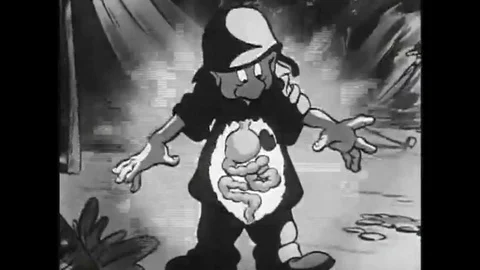 Imagines That Stock Videos – Royalty-Free HD & 4K Videos