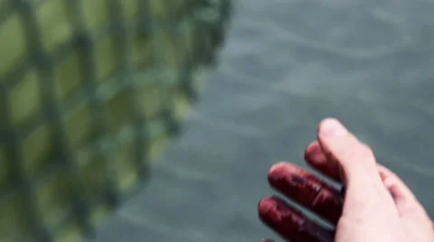 Bloody Soldier Stock Videos – Royalty-Free HD & 4K Videos