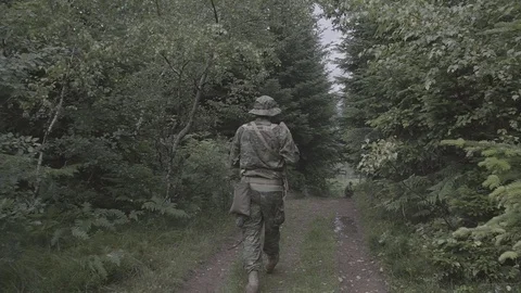 Forest Patrolling Stock Videos – Royalty-Free HD & 4K Videos