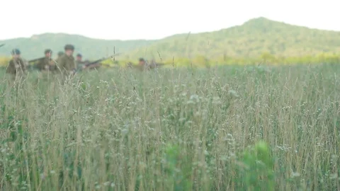 Soldiers carry weapons and walk in tall ... | Stock Video | Pond5