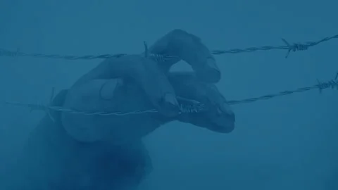 Soldier's Hand Caught On Barbed Wire In ... | Stock Video | Pond5