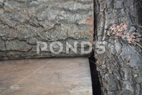 Solid wood and processed lumber surface textures ~ Premium Photo #119930999