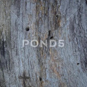 Solid wood and processed lumber surface textures ~ Hi Res #119931283