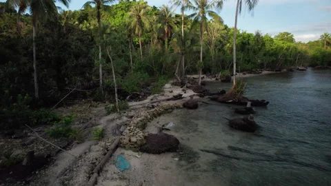 Solomon Islands rising sea level rise, P... | Stock Video | Pond5