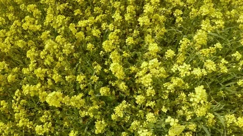 Someone Flying Stock Videos – Royalty-Free HD & 4K Videos | Pond5