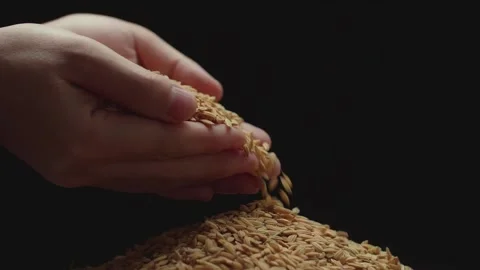 Smell Someone Stock Videos – Royalty-Free HD & 4K Videos | Pond5