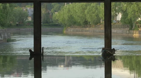 Somesul Mic River Stock Footage ~ Royalty Free Stock Videos | Pond5