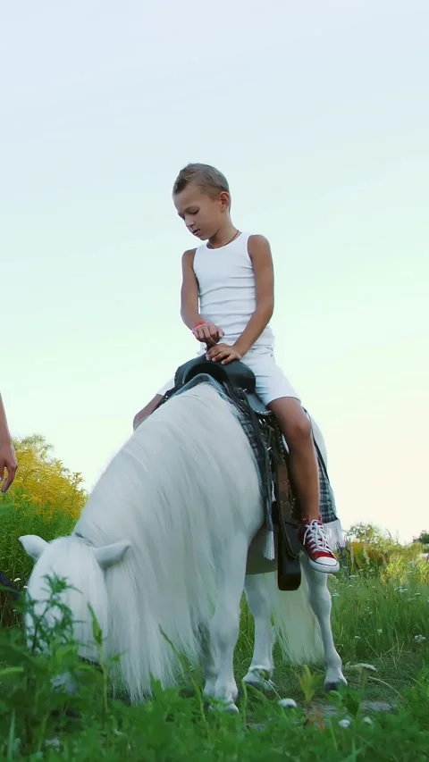 Riding Bridle Stock Videos – Royalty-Free HD & 4K Videos | Pond5