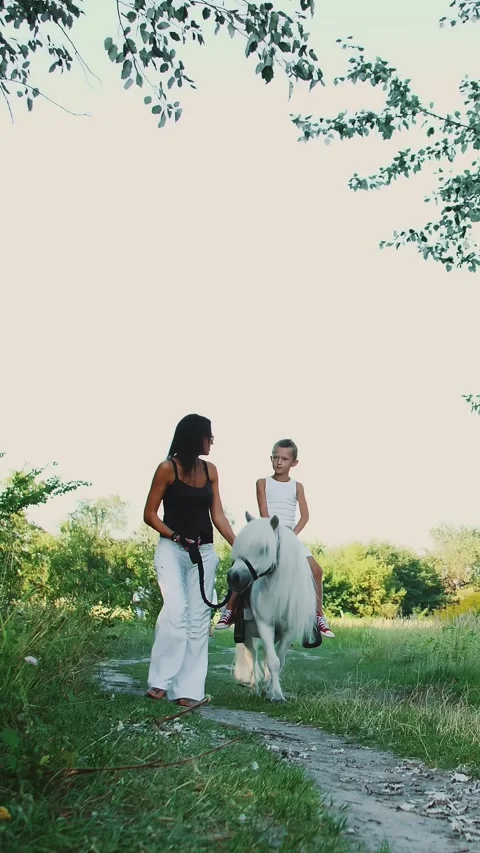 Riding Bridle Stock Videos – Royalty-Free HD & 4K Videos | Pond5