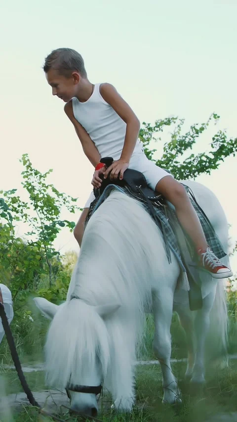 Riding Bridle Stock Videos – Royalty-Free HD & 4K Videos | Pond5