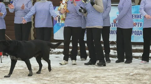 Dance Team Songs Stock Videos – Royalty-Free HD & 4K Videos