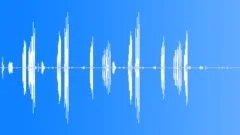 Song Thrush Sound Effects ~ Song Thrush Sounds | Pond5