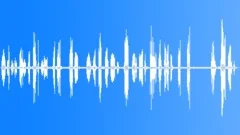 Song Thrush Sound Effects ~ Song Thrush Sounds | Pond5