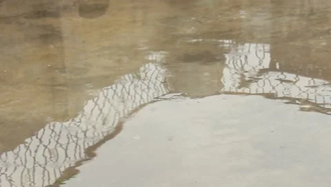 Song The Rain Stock Videos – Royalty-Free HD & 4K Videos