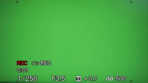 Sony Digital Viewfinder Frame Overlay Ca... | Stock Video | Pond5