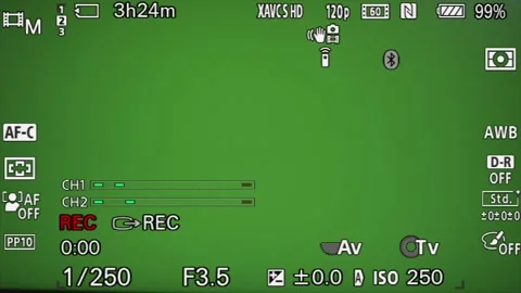 Sony Viewfinder Frame Overlay Camera Rec... | Stock Video | Pond5