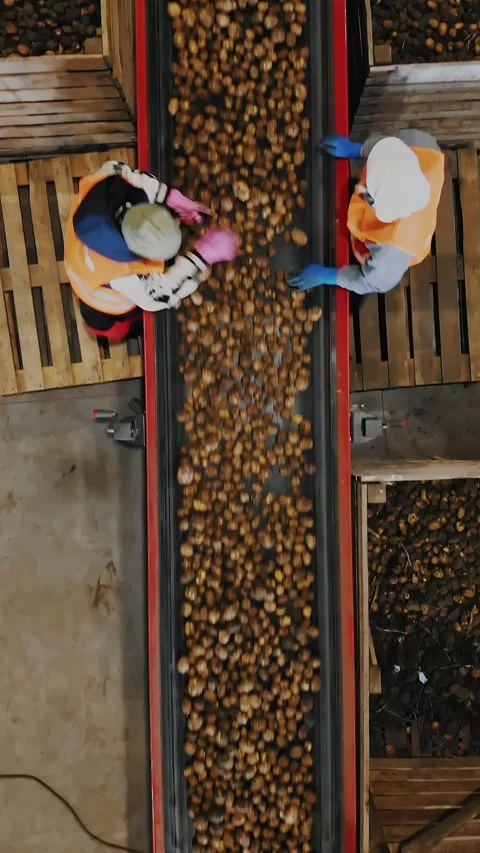 Cull and Stock Videos – Royalty-Free HD & 4K Videos | Pond5