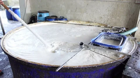 Local Sourced Stock Videos – Royalty-Free HD & 4K Videos