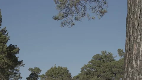 Video Camera Source Stock Videos – Royalty-Free HD & 4K Videos