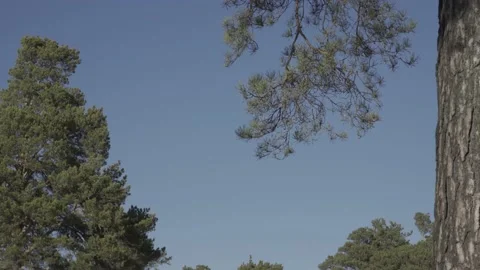 Video Camera Source Stock Videos – Royalty-Free HD & 4K Videos