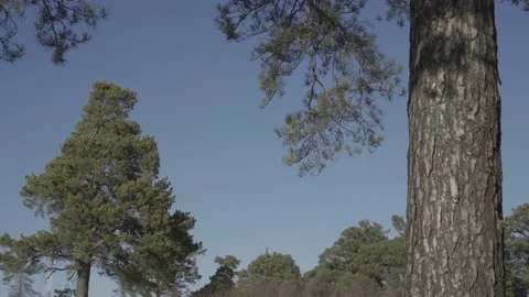 Video Camera Source Stock Videos – Royalty-Free HD & 4K Videos