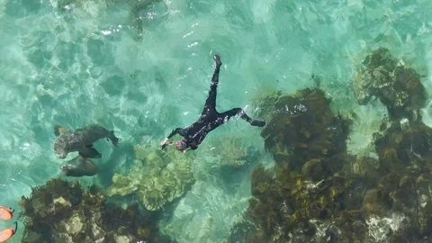 Girls Wetsuits Stock Videos – Royalty-Free HD & 4K Videos | Page 3