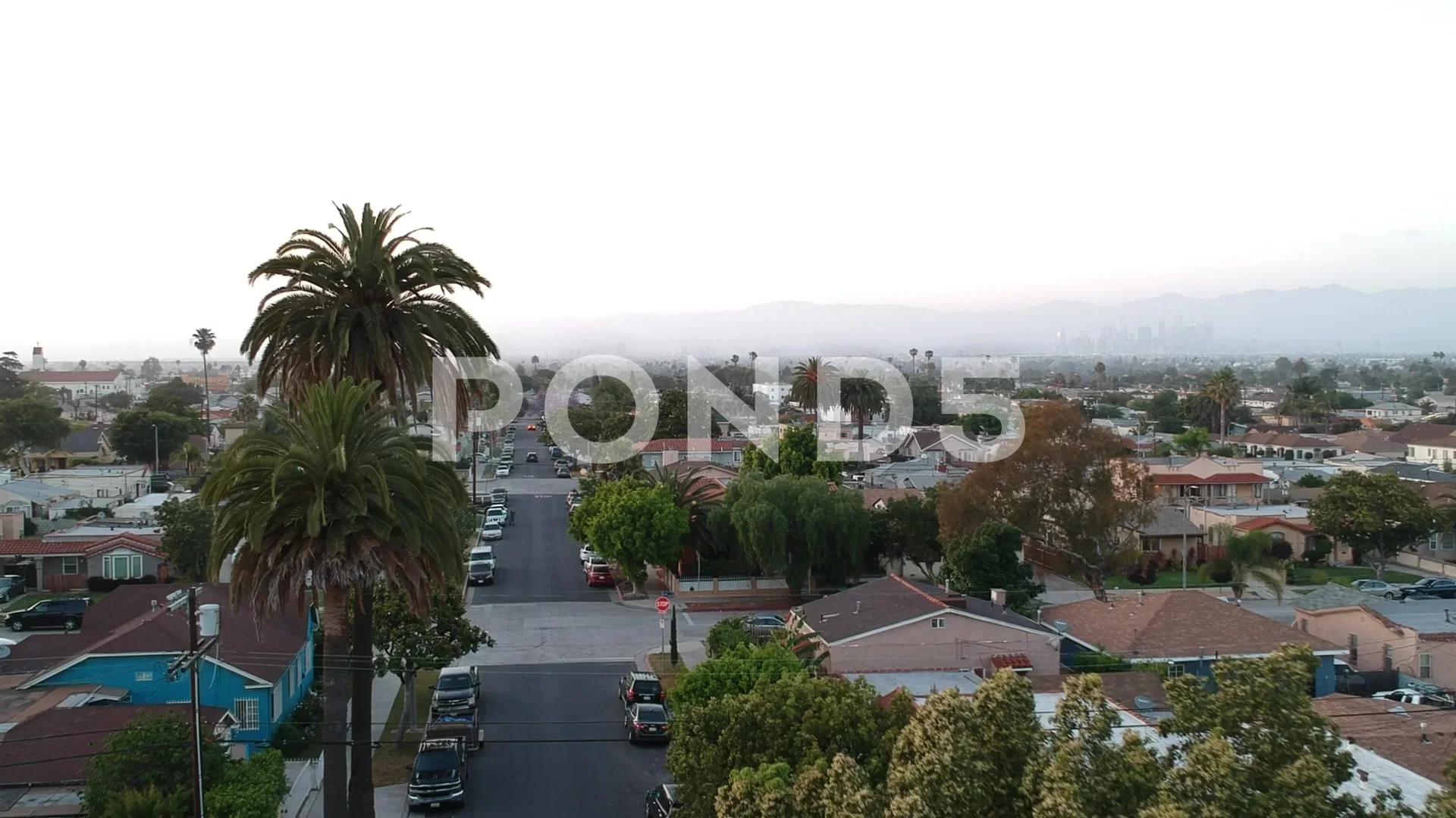 South Central Los Angeles Ca