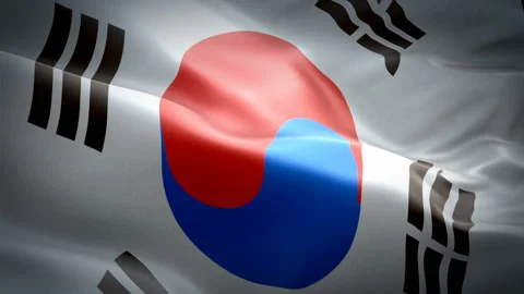 South Korea waving flag. National 3d Kor... | Stock Video | Pond5