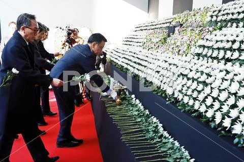 South Korean government pays tribute to Jeju Air plane crash victims, Seoul, Kor ~ Hi Res #296615683