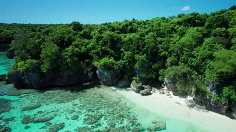 Subtropical Beaches Stock Footage ~ Royalty Free Stock Videos | Pond5