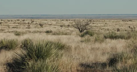 Empty Plains Stock Videos – Royalty-Free HD & 4K Videos