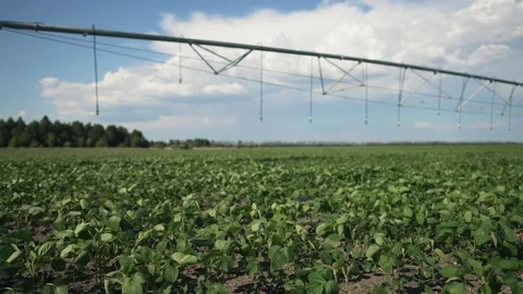 Soybean Field Irrigation System