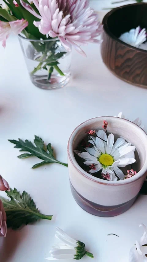 Life Still Stock Videos – Royalty-Free HD & 4K Videos