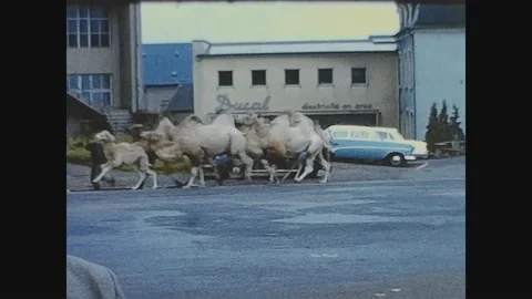 Spain Street Fashion Stock Videos – Royalty-Free HD & 4K Videos | Pond5