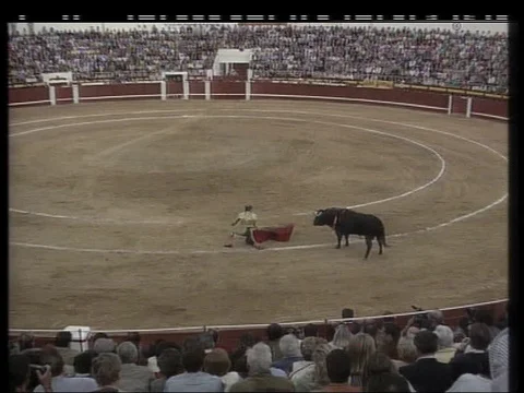 School Fights Script Stock Video Footage | Royalty Free School Fights ...