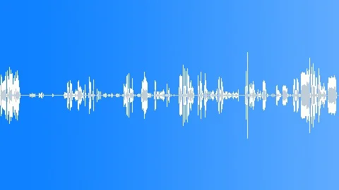 Spanish Party Crowd, Mixed Male and Female, Whooping, Yelling, Party ...