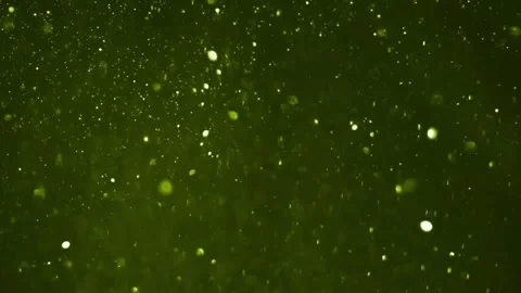 Dust Green Screen Stock Video Footage | Royalty Free Dust Green Screen ...
