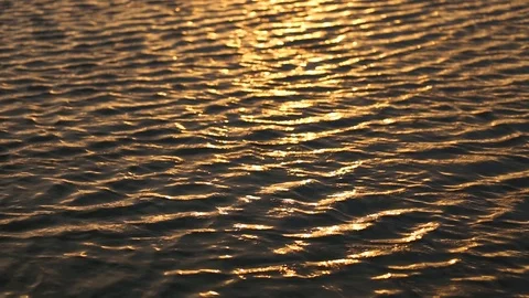 Sparkling shiny sunset golden sea water ... | Stock Video | Pond5