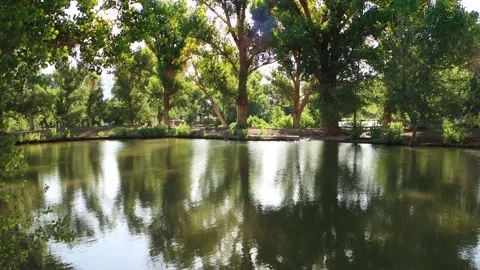 Sparkling Water scene at Tule Springs | Stock Video | Pond5