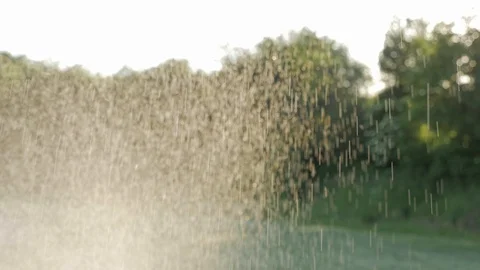Sparkling water spraying out of sprinkle... | Stock Video | Pond5
