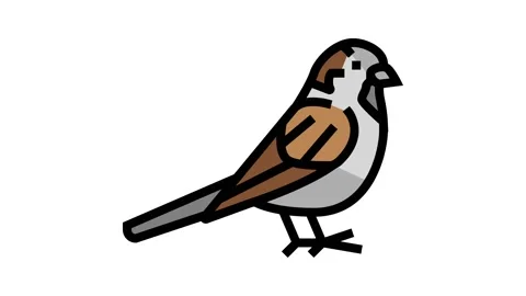 sparrow bird color icon animation | Stock Video | Pond5