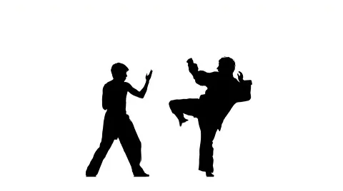 Taekwondo Silhouette Stock Videos – Royalty-Free HD & 4K Videos