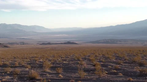 Shrubs Stock Video Footage | Royalty Free Shrubs Videos | Pond5