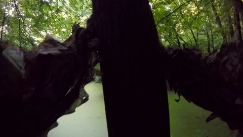 Special Forces Soldier POV Climbing Tree... | Stock Video | Pond5