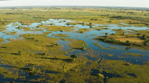 Okavango Delta Stock Videos – Royalty-Free HD & 4K Videos